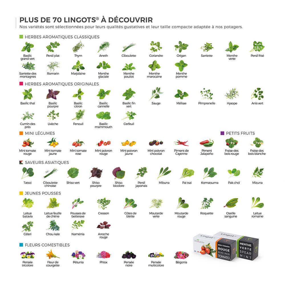 Lingots VERITABLE au meilleur prix – Le Comptoir de France