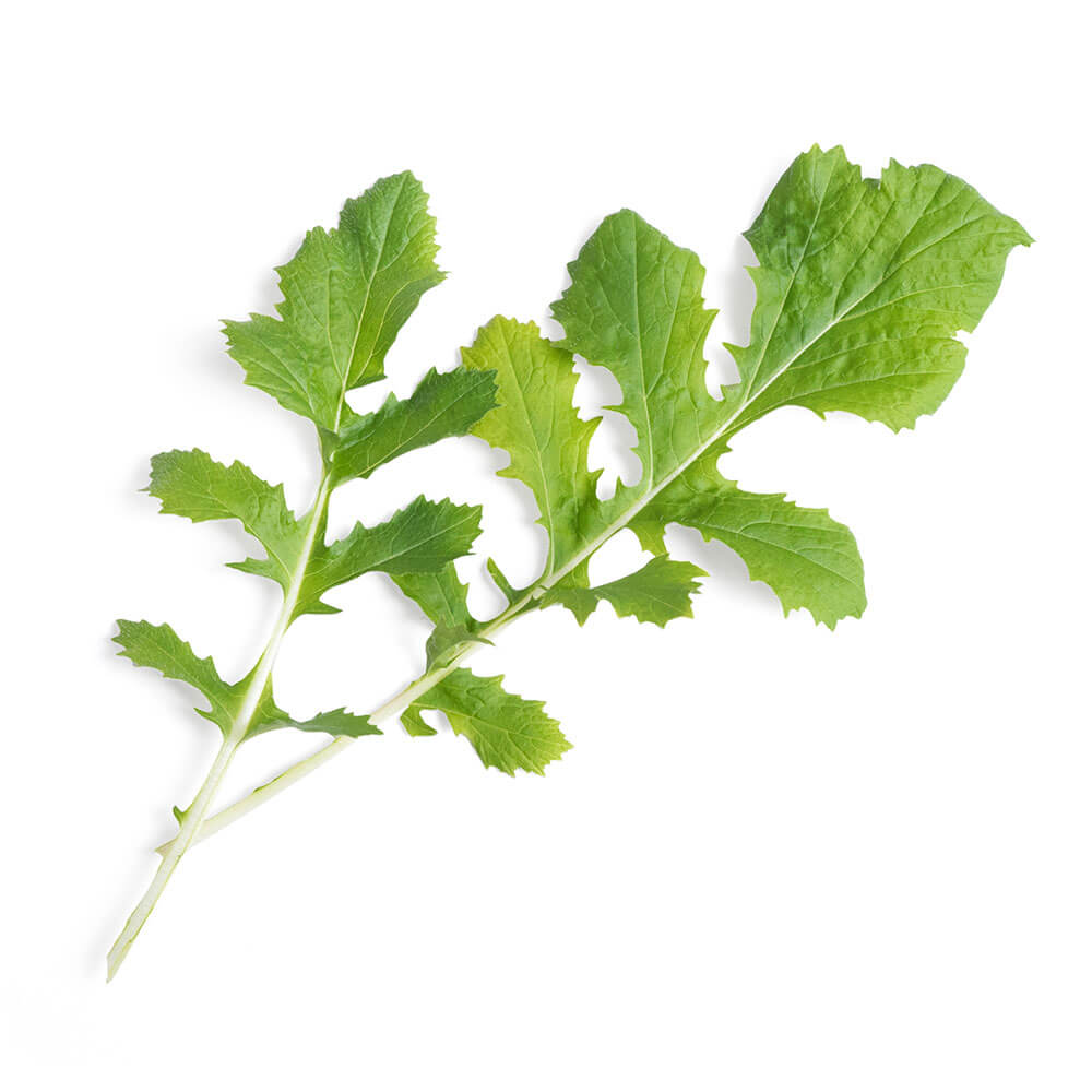 Lingot Naménia BIO - VERITABLE - LE COMPTOIR DE FRANCE – Le Comptoir de ...