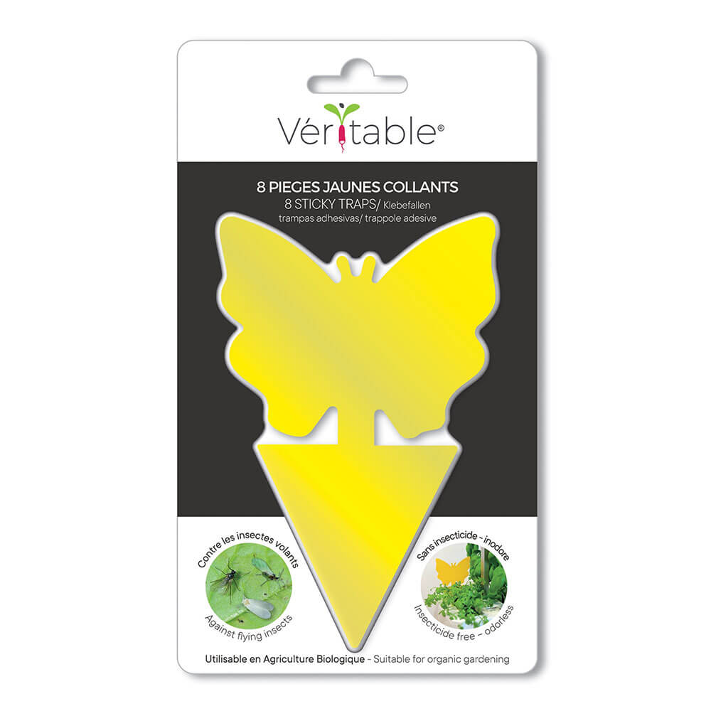 8 Pièges jaunes collants contre les insectes - VERITABLE – Le Comptoir ...